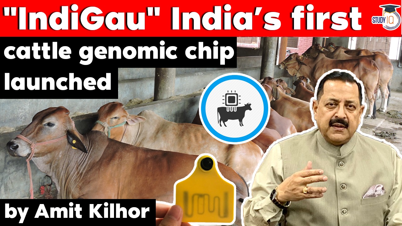 “IndiGau” India’s first cattle genomic chip launched – Burning Issues ...