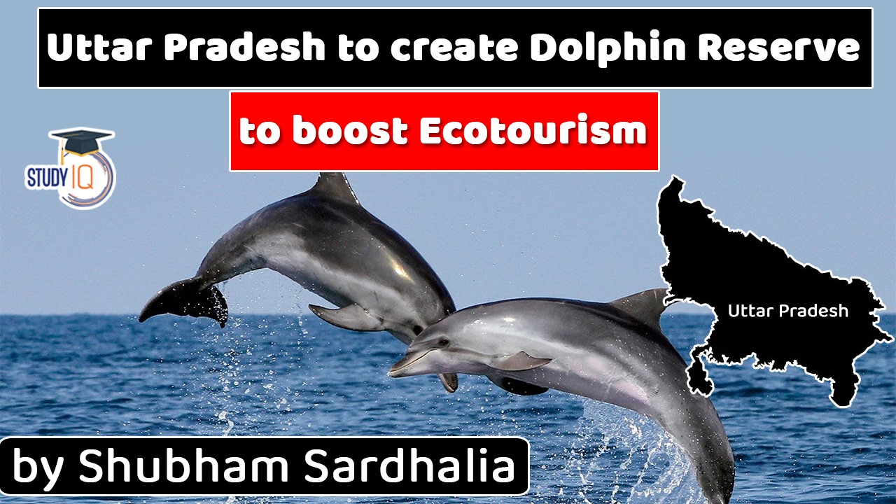 Uttar Pradesh to create Dolphin Reserve to boost Ecotourism – Burning ...