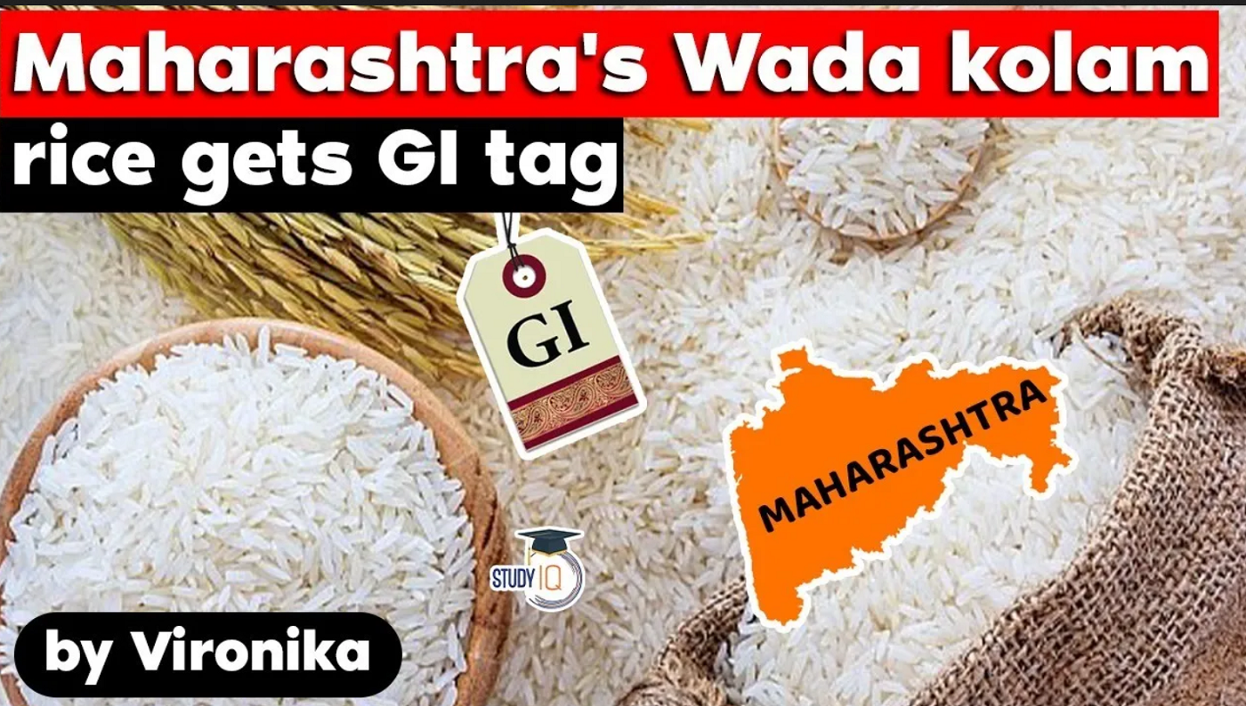 Maharashtra’s Wada Kolam Rice Gets GI Tag – Free PDF Download