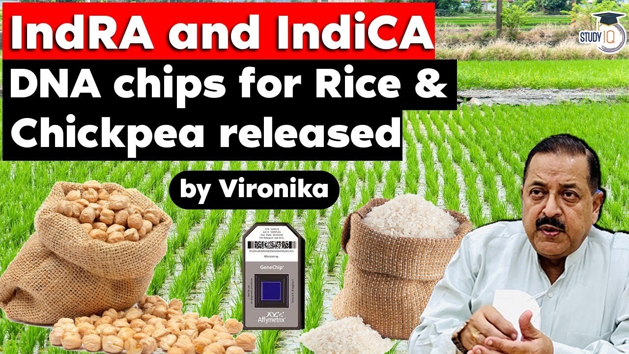 IndRa and IndiCA DNA Chips For Rice & Chickpea Released – Free PDF Download