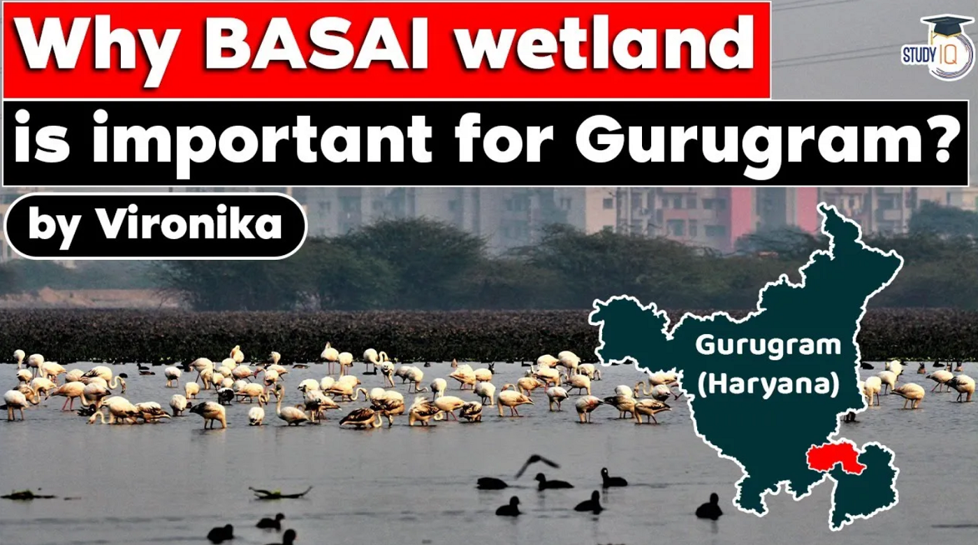 Why BASAI Wetland Is Important For Gurugram? – Free PDF Download
