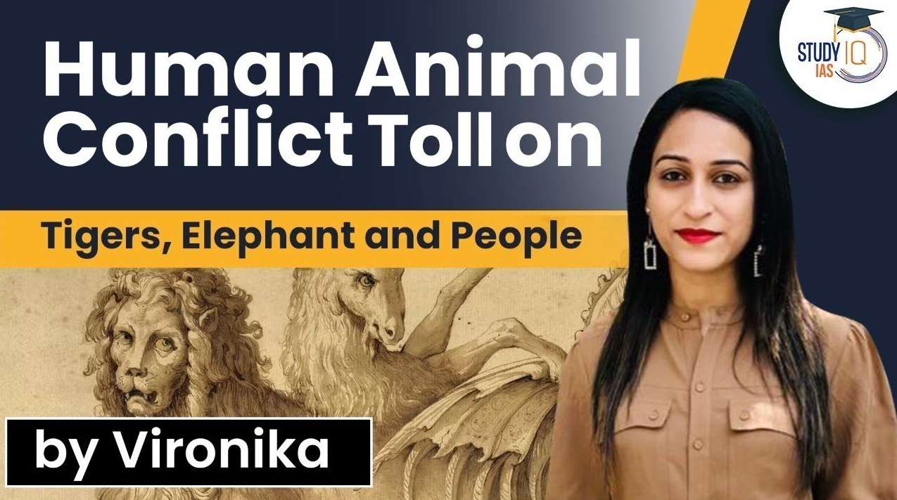 Human Animal Conflict Toll On Tiger, Elephant And People – Free PDF ...