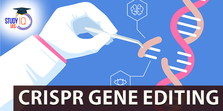 CRISPR Gene Editing