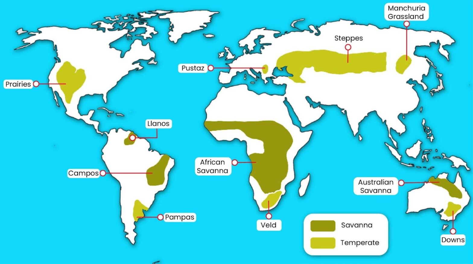 Grasslands in the World, Map, Types and Significance