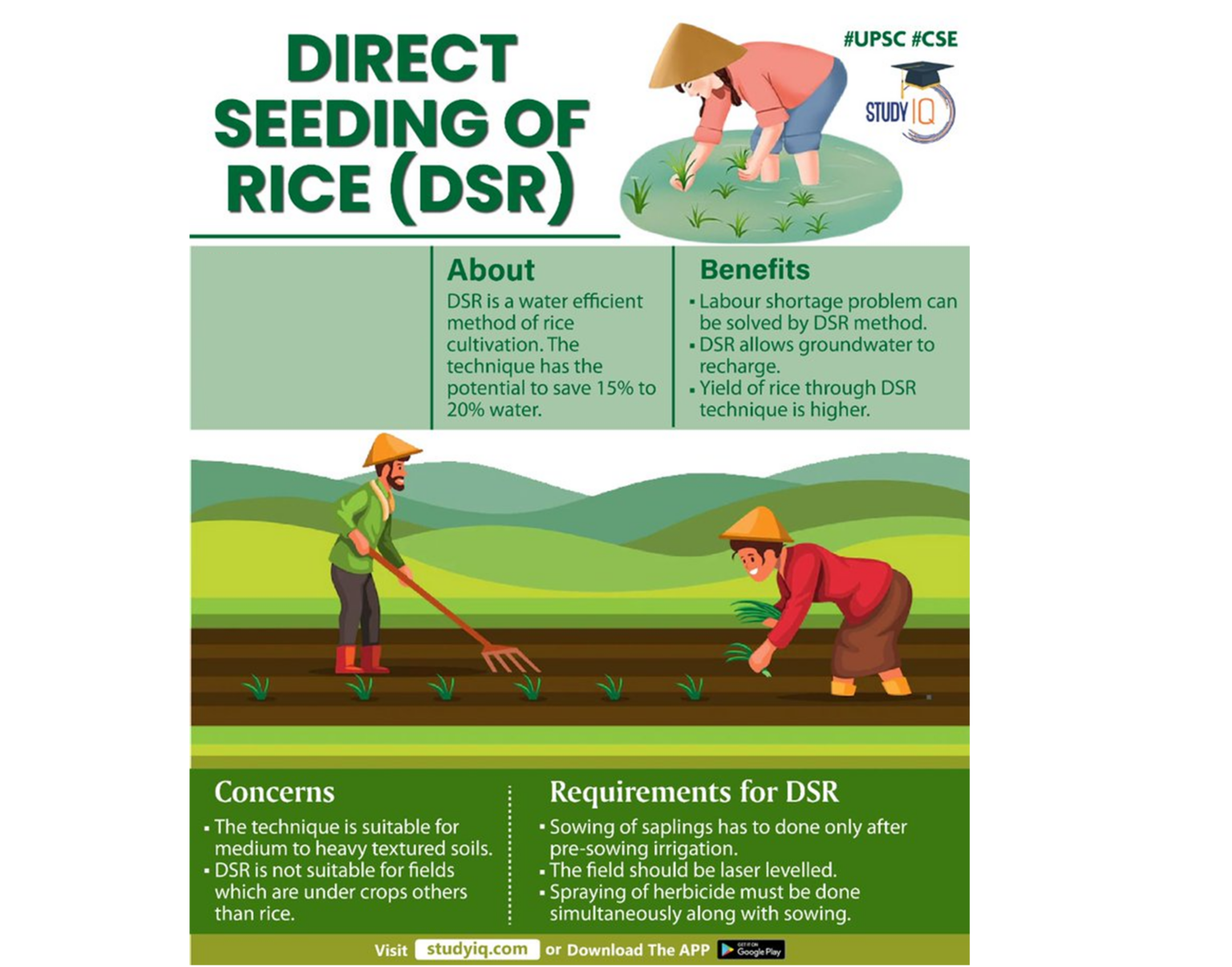 Direct Seeding of Rice (DSR) Technique, Concerns and Requirements