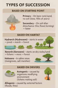 Ecological Succession: Definition, Types, Process, Stages and Impacts